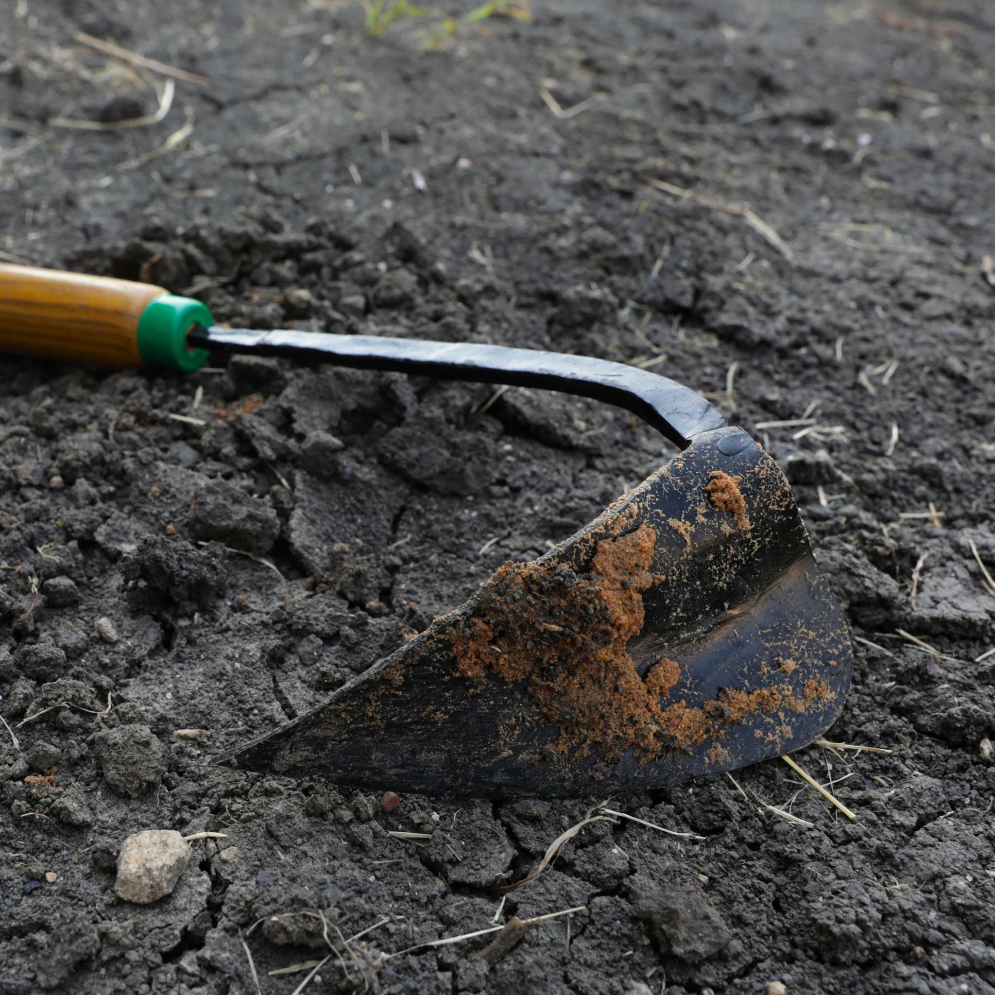 Ez-Digger Korean Triangle Blade | Short Handle – Grit