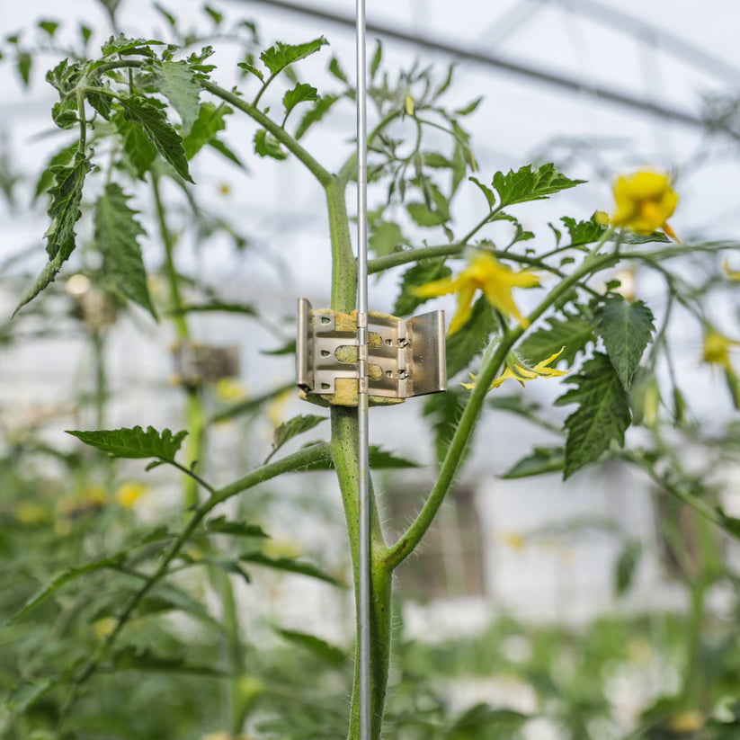 Qlipr Trellising System – Grit