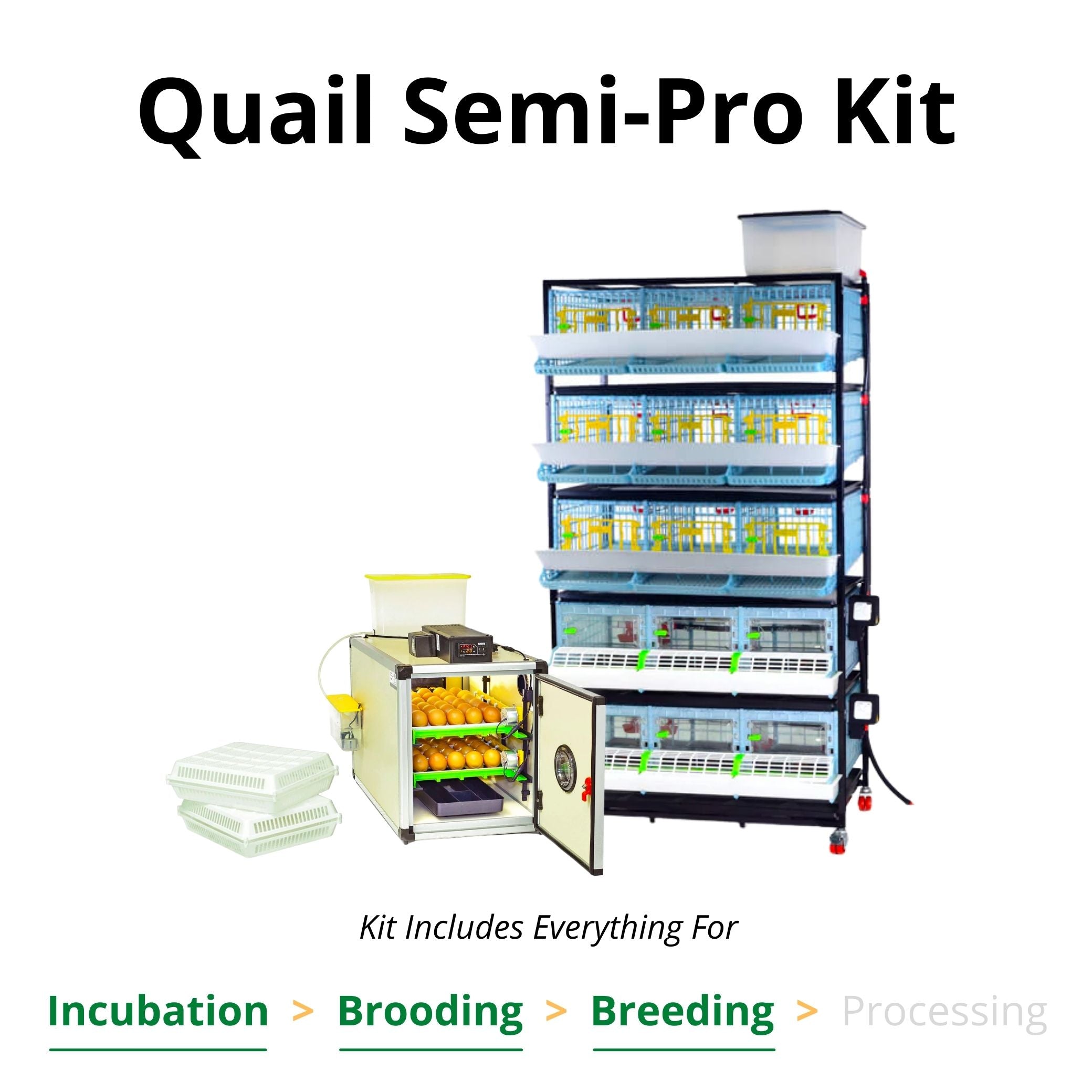 Quail Semi-Pro Kit – Grit