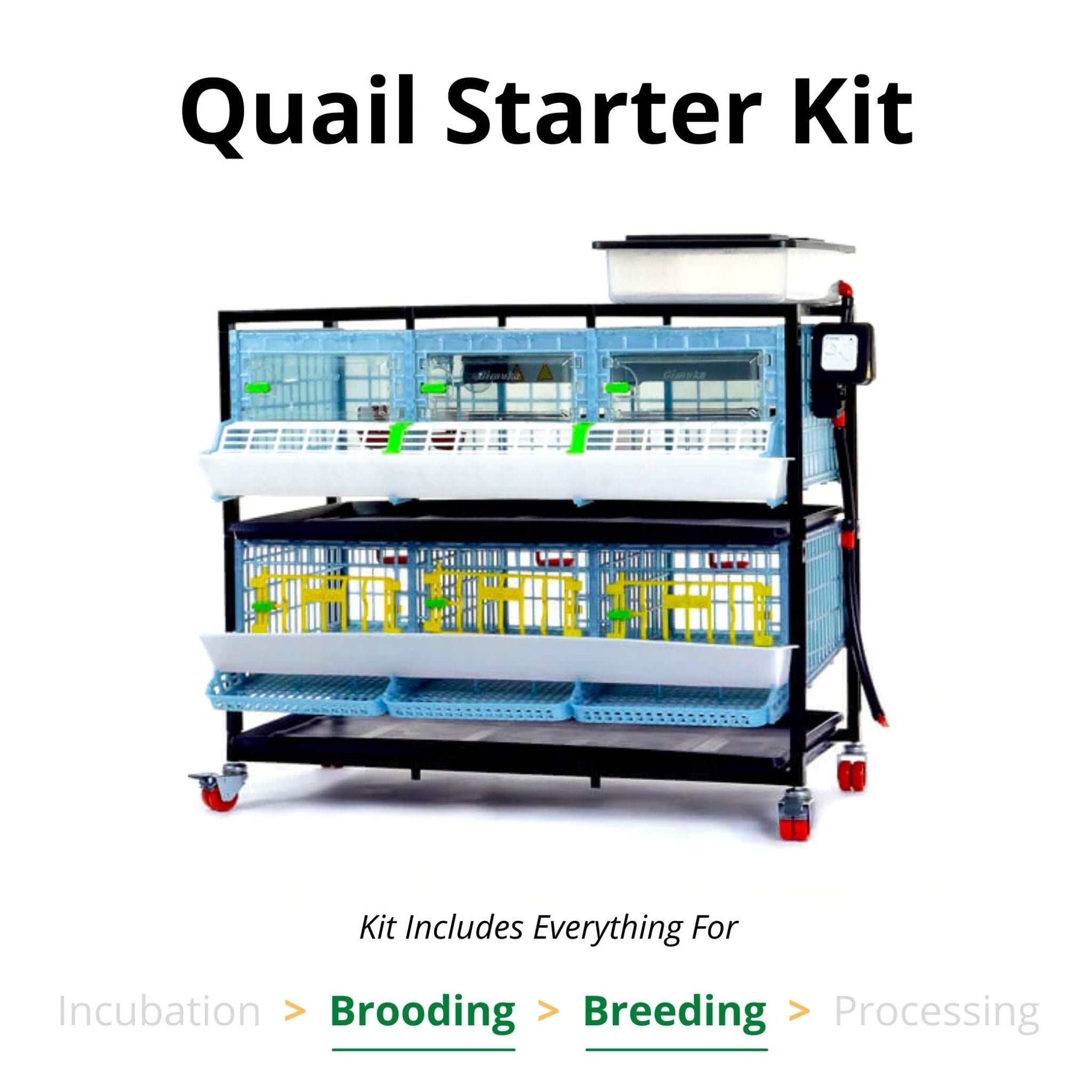 Quail Starter Kit – Grit
