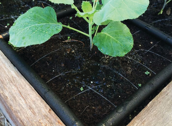 THE GARDEN GRID™ WATERING SYSTEM – Grit